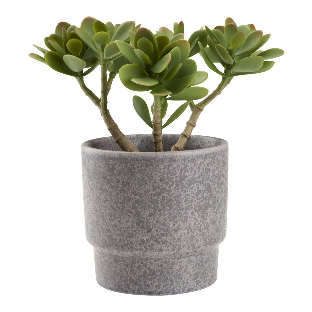 Mākslīgais augs JOSTEIN 20 x 20 x 23 cm - JYSK - Vienmēr lieliski ...